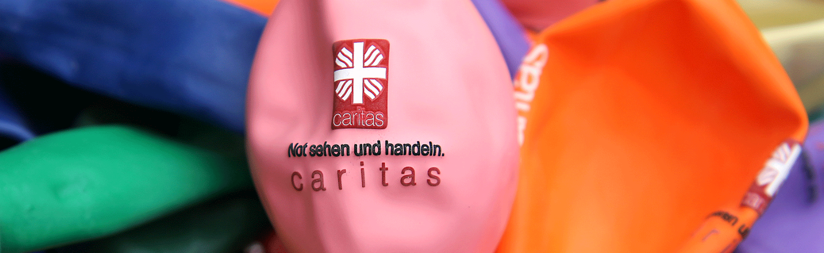 Freiwilliges Soziales Schuljahr (FSSJ)